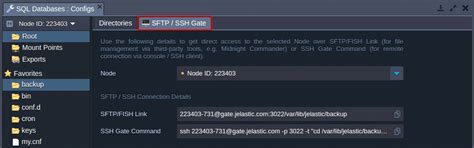 Schedule Backups For Mysql And Mariadb Databases Docktera