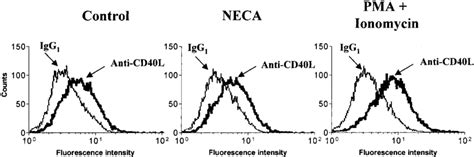 Analysis Of Surface Cd40l Expression In Hmc 1 Cells Incubated For 6 H