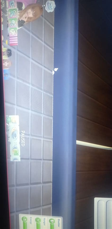 Does Anyone Know What Mod Causes This Rsims4cc