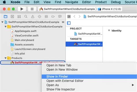 How To Add Resource Files Into Xcode Project And Ios App