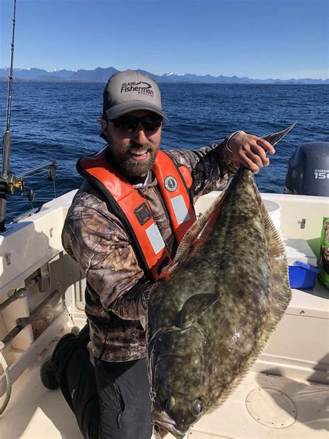 Creature Feature Pacific Halibut Island Fisherman Magazine