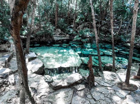 A Peak Into The Mysterious Turquoise Pools At Cenote Azul My 9 5 Escape