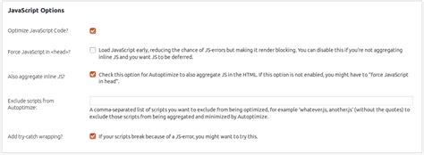 How To Configure The Plugin Autoptimize Web Id