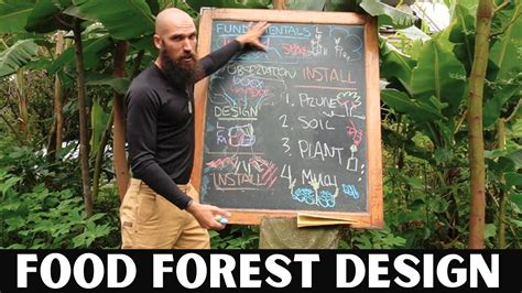 Complete Guide To Food Forest Design Installation 2024 Syntropic Agroforestry Youtube