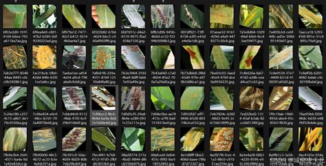 智慧农业数据集（一） Csdn博客