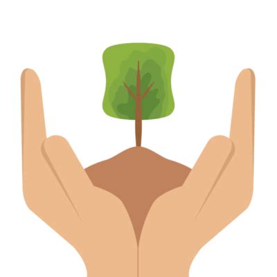 Tree Of Life PNGs For Free Download