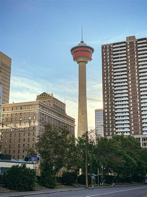 Laura Thiessen On Linkedin Inclucity And City Of Calgary Collaboration Launched