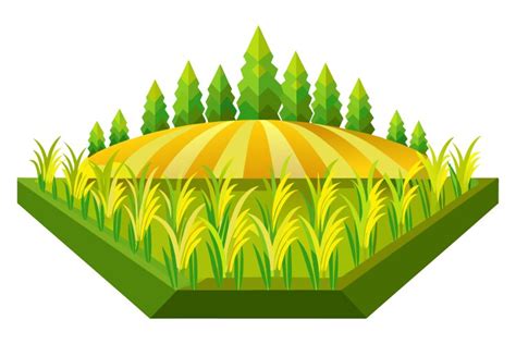 Paddy Vector Images Over 6 300