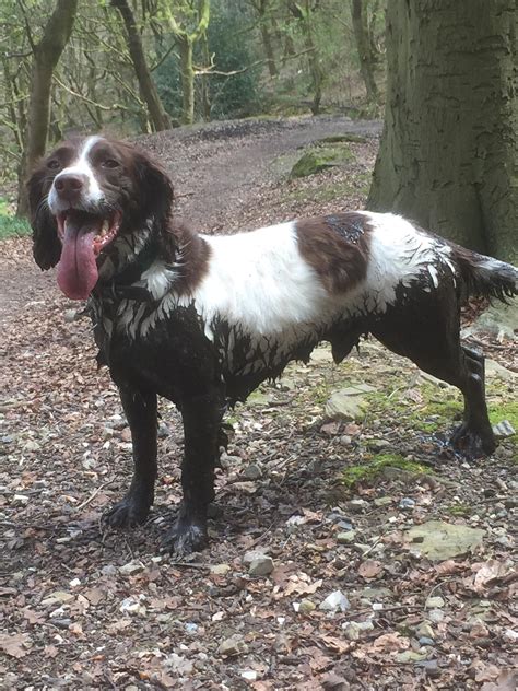 Try Not To Let Him Get Filthy Were The Words That My Said To Me As I