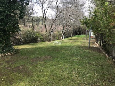 Zona árboles frutales Sánchez Rubio Inmobiliaria
