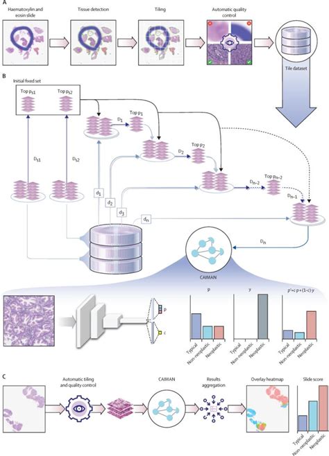 Mohammed H Alali On Linkedin Development And Validation Of Artificial Intelligence Based