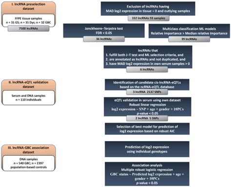 Flowchart Representing The Three Stage Approach Used In The Study