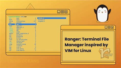 Ranger Terminal File Manager Inspired By Vim For Linux