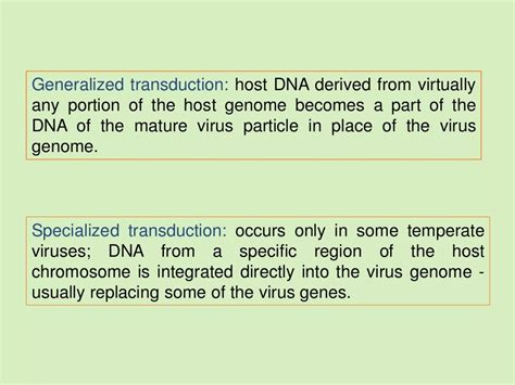 Generalized And Specialized Transduction Transformation And Conjugation
