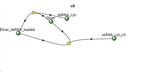 Biomodel 200999311 Vcell Modeling And Analysis Software