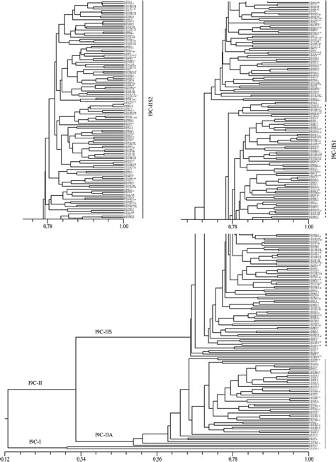 Phenogram Produced By Jaccards Coefficient And The Upgma Clustering