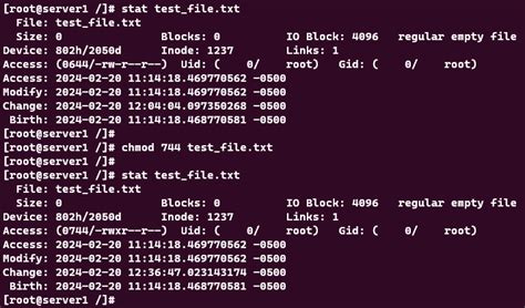 Ownership And Permissions In Linux Hivelocity Hosting