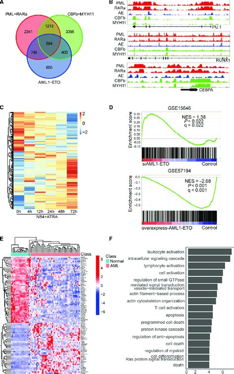 Function Analysis Of Common Target Genes Of Oncofusion Proteins Download Scientific Diagram
