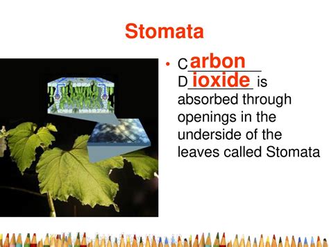 11 30 7th Grade Agenda Learning Objective Learn About Fermentation Ppt Download