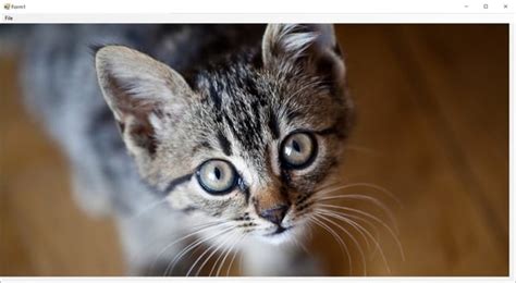 How To Create Scrollable Picturebox Control In C Devindeep