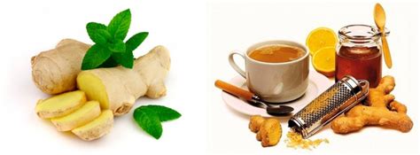 Имбирь свойства и противопоказания чем полезен имбирь