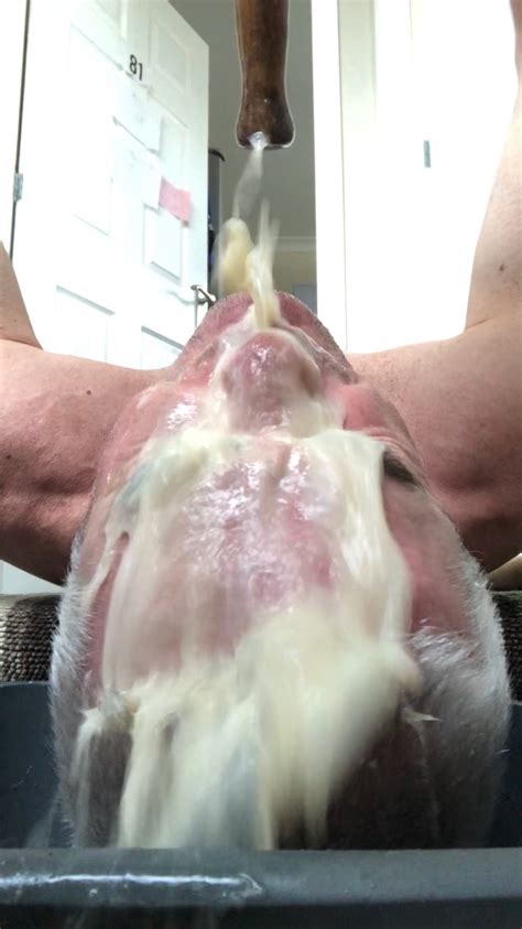 Upside Down Deep Throat Part 2 ThisVid Com