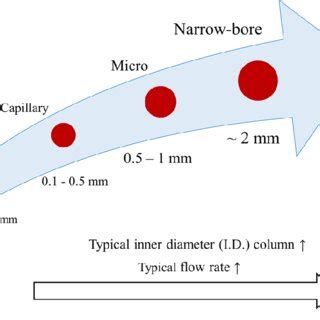 6 An Overview Of The Different Ranges In Inner Diameters Of Download Scientific Diagram