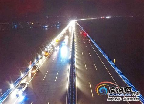海文大橋路燈為啥這麼矮怕干擾越冬候鳥遷徙 每日頭條