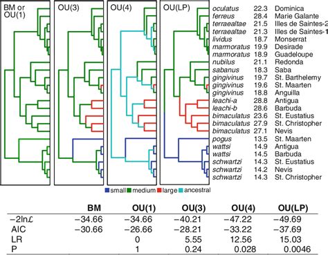 Figure 12 1 From Modern Phylogenetic Comparative Methods And Their