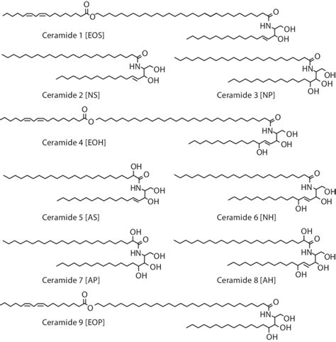 Chemical Structure And Nomenclature Of Cer Of The Sc A Hydroxy Fatty Download Scientific