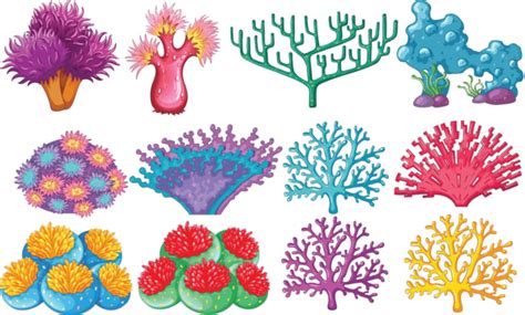 Different Types Of Coral Reef Clip Art Tree Path Vector Clip Art Tree Path Png And Vector