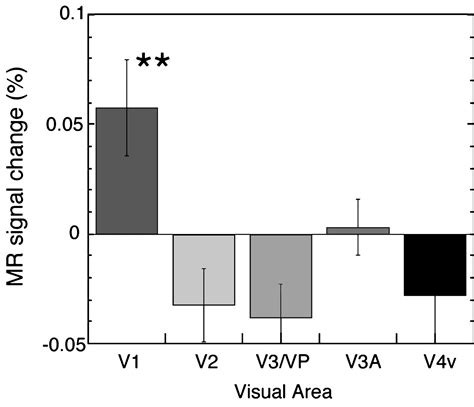 The Primary Visual Cortex Fills In Color Pnas