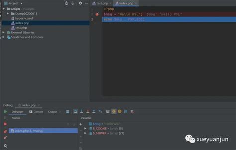 Phpstorm 集成 Wsl 虚拟机中的 Php 进行单元测试和代码调试 腾讯云开发者社区 腾讯云