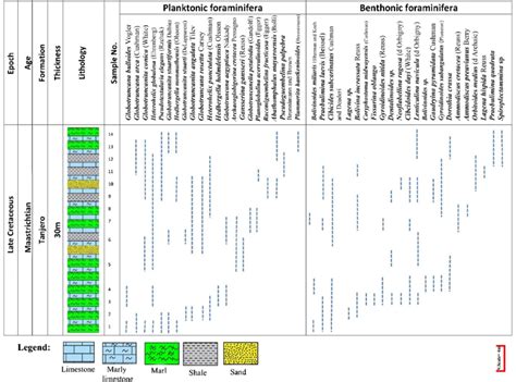 Foraminiferal Distribution In Tanjero Formation In Hujran Section