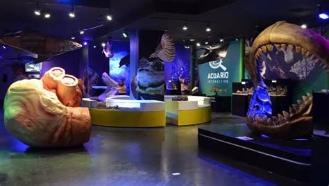 Acuario Inbursa Ofrece Una Experiencia Inmersiva