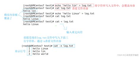 【linux系统编程】第四弹 基本指令二echo 指令 Csdn博客
