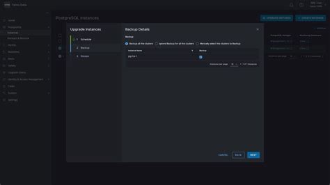 Tanzu Data Management Console Feature Overview Virtual Graveyard