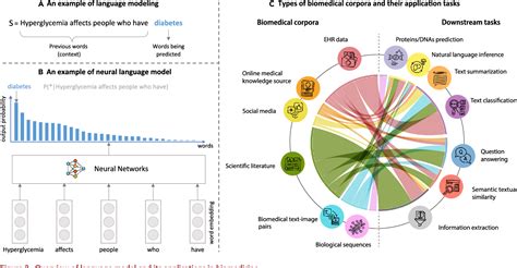 Figure 2 From Language Model And Its Interpretability In Biomedicine A