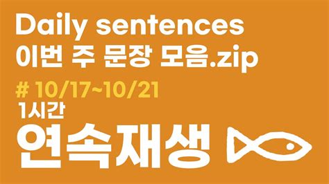 1주일 모음 하루5분 일상영어 5문장 영어 회화 공부법 Youtube