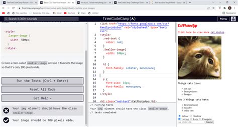 Im Stuck I Tried Everything Just Cant Move To The Next Task Html Css The Freecodecamp Forum