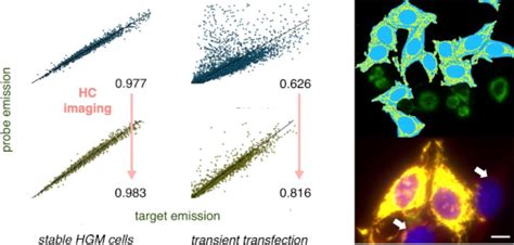 Bjoc Molecular Recognition