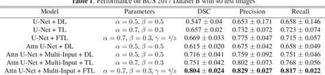 A Novel Focal Tversky Loss Function With Improved Attention U Net For Lesion Segmentation