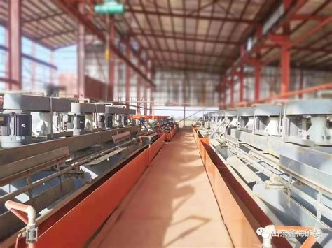 Introduction To Commonly Used Phosphate Ore Flotation Reagents