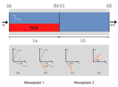 Schematic Representation Of Polarization Rotation Via Halfwave Plate
