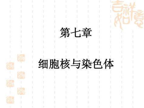 第七章 细胞核与染色体word文档在线阅读与下载无忧文档