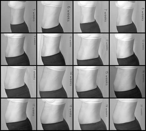 Pregnancy Belly Week By Week Chart
