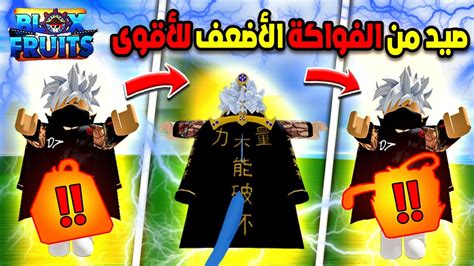 بلوكس فروت ١ صيد من اضعف فاكهة للاقوى بعجلة الحظ 🔥 Roblox Blox Fruits