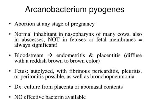 Ppt Infectious Causes Impacting Reproduction Powerpoint Presentation Id 204214