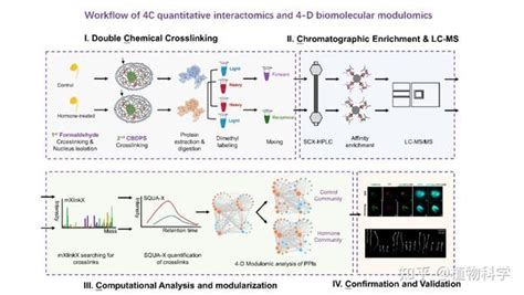 Mol Plant 香港科技大学联合清华大学开发了研究生物分子模块组学的工具champion 知乎