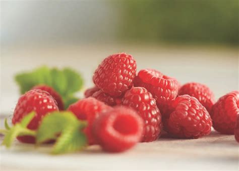 Raspberry Consumption Continues To Make Impressive Gains Haul Produce